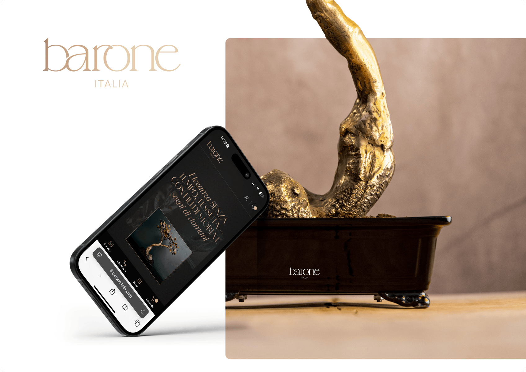 Realizzazione Barone Italia - GWEB Agency Varese